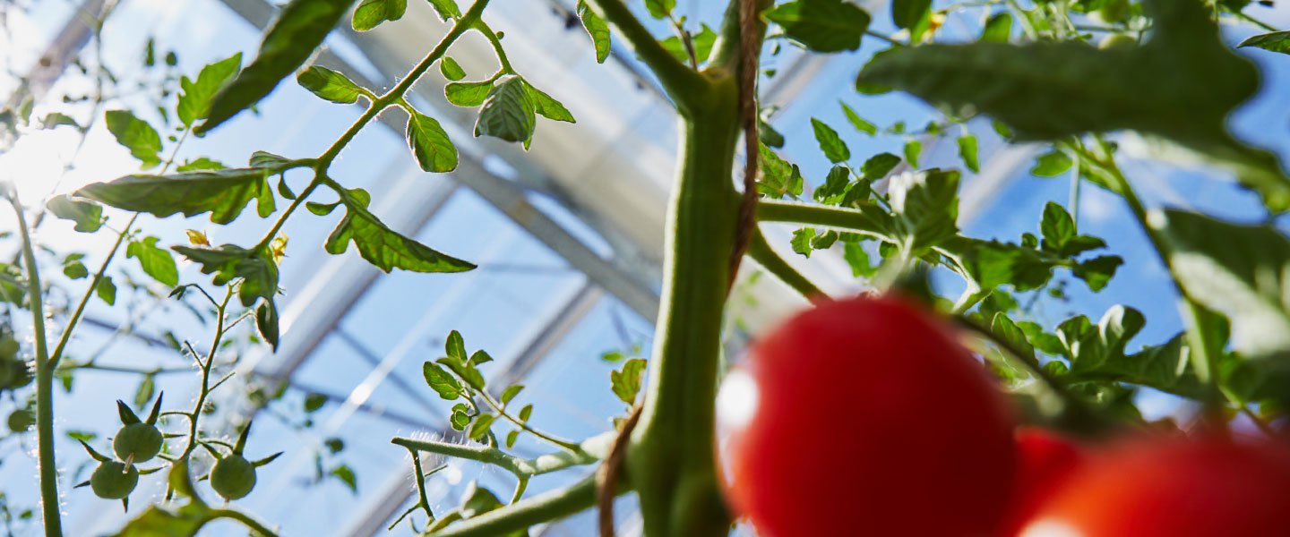 A sustainable food supply system saves the future global environment ...